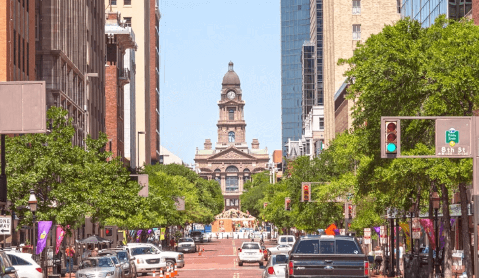 Lone Star Culinary Ventures: Exploring Lucrative Restaurant Business ...